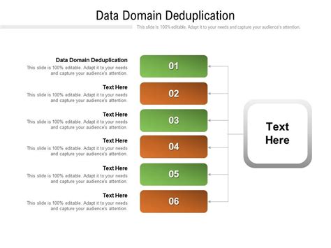 Data Domain Deduplication Ppt Powerpoint Presentation Portfolio Templates C