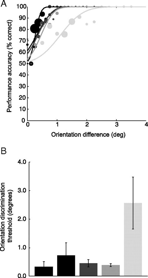 Cross Orientation Suppression In Human Visual Cortex Journal Of