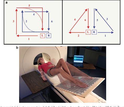 Figure 1 From Cerebral Cortex Doi 10 1093 Cercor Bhj057 Cerebral Cortex