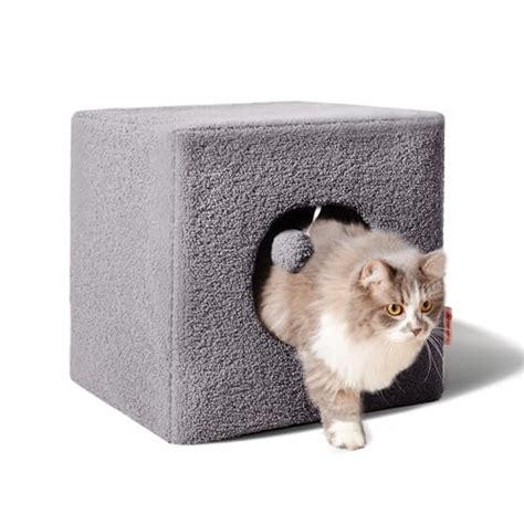 Cat Cube The 15 Best Products Compared Wild Explained