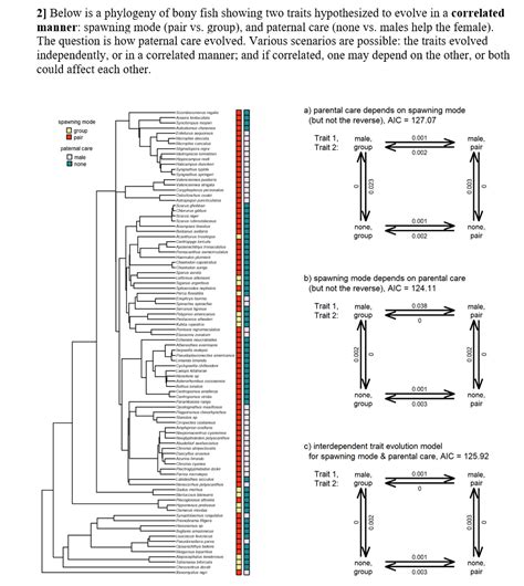 solved a ﻿what would a model of independent evolution look
