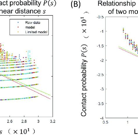 The Structure Of Diffused Models The Relationship Between Contact Download Scientific Diagram