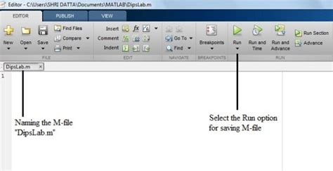 How To Create MAT File In MATLAB Save And Run DipsLab