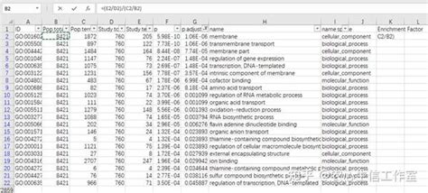 零门槛学科研绘图 用graphpad Prism 9绘制go气泡图 知乎
