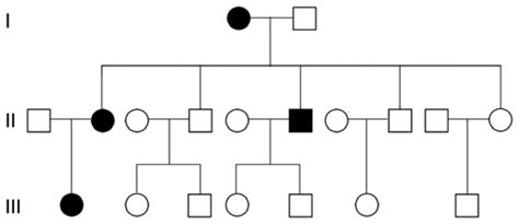 Genetic Map Illustrating The Inheritance Of Tuberous Sclerosis Complex