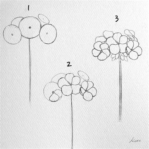 12 Flower Drawing Easy Tutorials For Beginners To Draw Flower Drawing