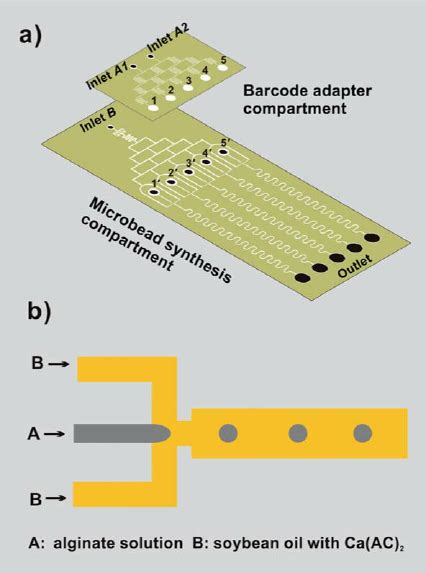 A Schematic Diagram Of The Integrated Parallel Microfluidic Device