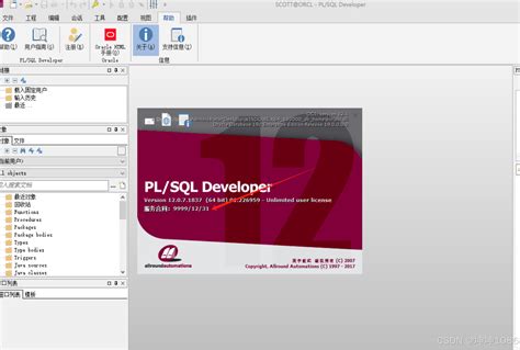 pl sql安装 汉化教程 plsql汉化包 csdn博客