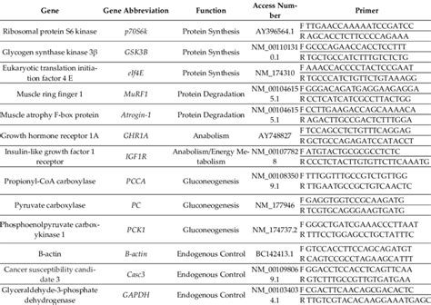 Sequence Function And Ncbi 1 Access Number Of The Primers Used For