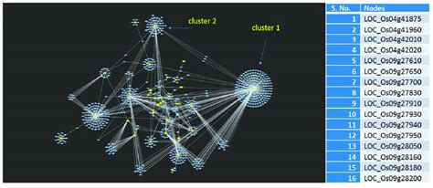 Network Analysis Of The Candidate Genes Present In The Selected Qtl