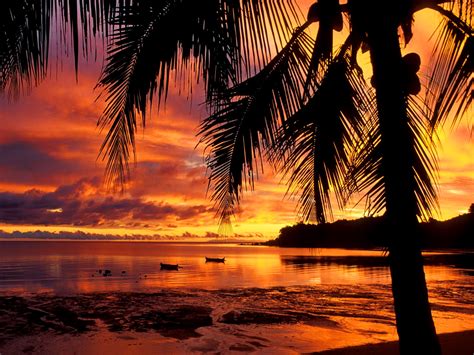 🔥 [100 ] Tropical Island Sunset Wallpapers Wallpapersafari