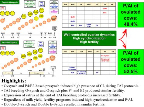 Fertility Programs For Lactating Dairy Cows A Novel Presynch Timed Artificial Insemination