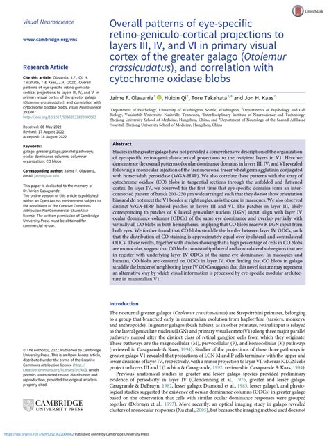 Pdf Overall Patterns Of Eye Specific Retino Geniculo Cortical Projections To Layers Iii Iv