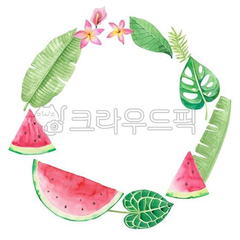 식물 여름 계절 시즌 트로피컬 사진이미지일러스트캘리그라피 유자디자인작가