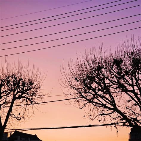 넘어졌을때 울어버리면 슬프고 가만히있으면 비참한데 아무일없는 척 걸어나가버리면 잊어버리더라😴 집가서 약바르고 자야지 조금씩 멀어