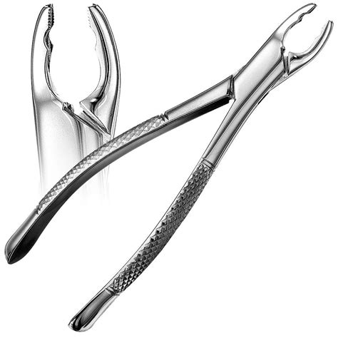 Forcep Extraction 150xas Pedo Split Beak Serrated 5 34 Ace Southern