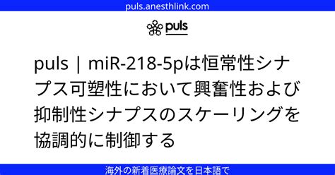 puls mir 218 5pは恒常性シナプス可塑性において興奮性および抑制性シナプスのスケーリングを協調的に制御する