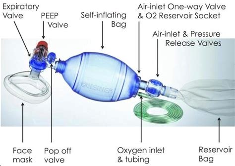 Various Parts Of Ambu Spur Ii Resuscitator [12] Limmerkoll