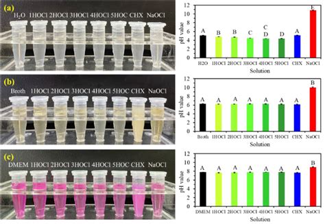 Pictures Of Various Test Solutions Before And After Dilution With A