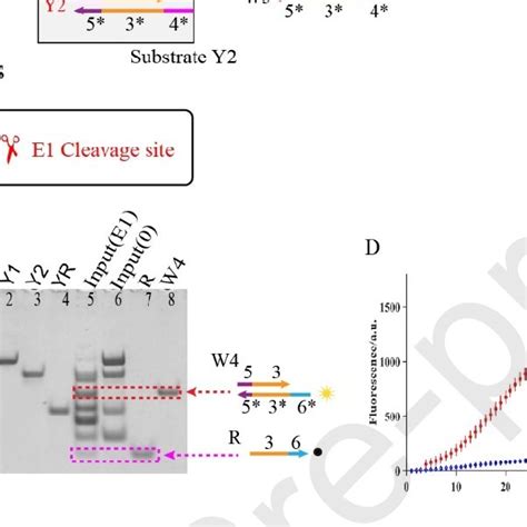 inhibit logic gate a inhibit logic gate symbols b truth table for