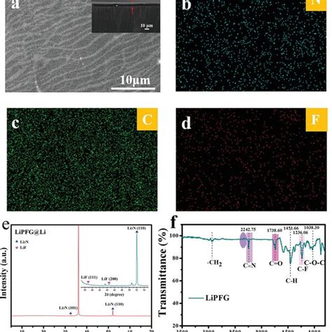 A Surface And Cross‐sectional Sem Image Of The Lithium Metal Anode Download Scientific Diagram