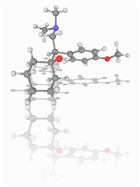 Venlafaxine Drug Molecule Photograph By Laguna Design Science Photo Library Fine Art America