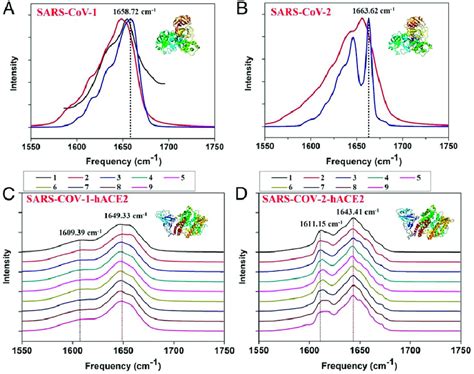 Ml Predicted Ir Spectra Of Sars Cov 1 Sars Cov 2 Sars Cov 1 Hace2