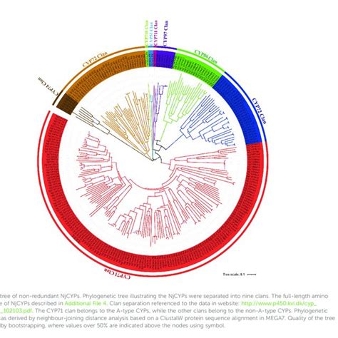 Annotation And Classification Of Transcripts From Smrt Sequencing A Download Scientific