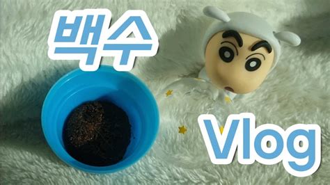 💎백수 브이로그💎 짱구 그릇에 간장 계란밥🍳🍚 L 돼지감자차 🐷🥔 L 다이소 라벤다 키우기🪻 L 갈매기 먹짱🥩 L 투썸 초코라떼and케이크🍰 L 홈 카페🥤 Youtube