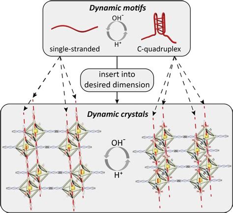 Ph‐induced Symmetry Conversion Of Dna Origami Lattices Wang 2022