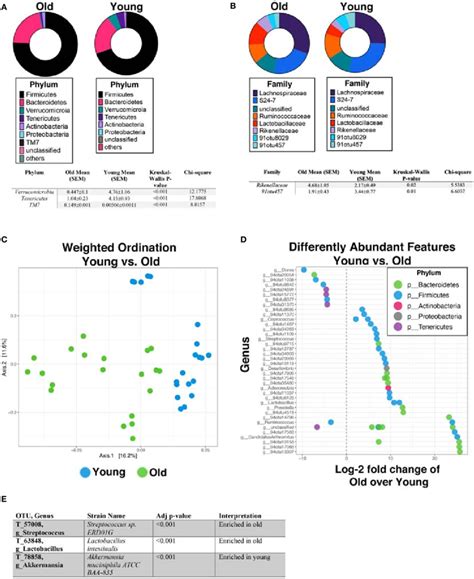 Age Significantly Impacts Gut Microbiome Abundance And Diversity Download Scientific Diagram