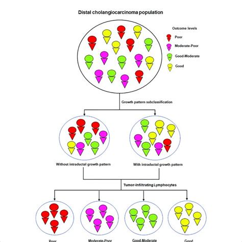 Measurement Of The Consolidation To Tumor Ratio Ctr A Computed Download Scientific Diagram