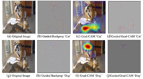 Figure 3 From Explanation Of The Convolutional Neural Network Classifying Chest X Ray Images