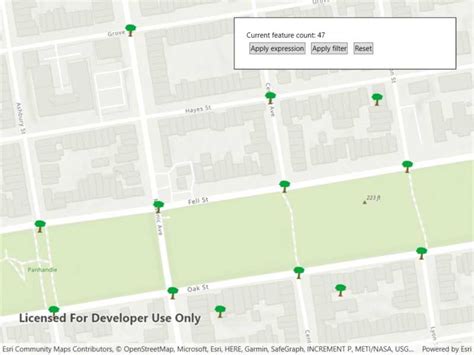 filter by definition expression or display filter arcgis maps sdk for