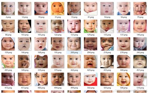 基于yolov8、yolov5的人脸年龄检测识别系统（含ui界面、训练好的模型、python代码、数据集）年龄识别模型 Csdn博客