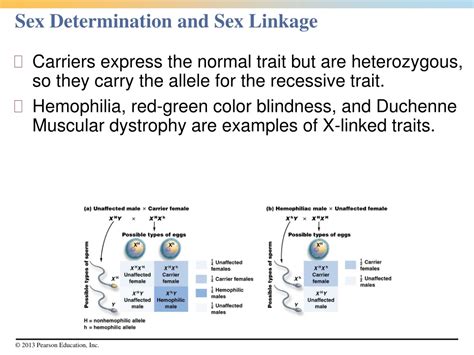 Ppt Extensions Of Mendelian Genetics Powerpoint Presentation Free