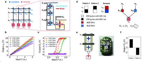 Integrated Neuromorphic Computing System A Schematic Of The Proposed