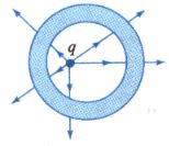 A metallic shell has a point charge q kept inside its cavity Which one of the following diagram ...