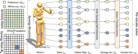 Low Rank Modular Reinforcement Learning Via Muscle Synergy Paper And