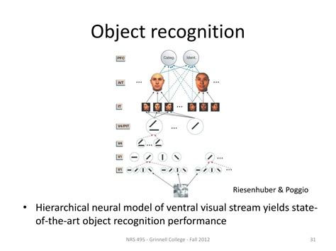 Ppt Vision Science Powerpoint Presentation Free Download Id2663453