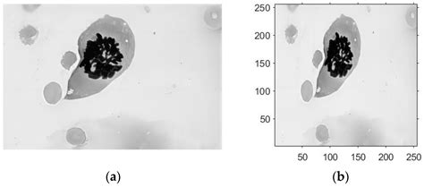 Photonics Free Full Text Investigation Of An Improved Angular Spectrum Method Based On