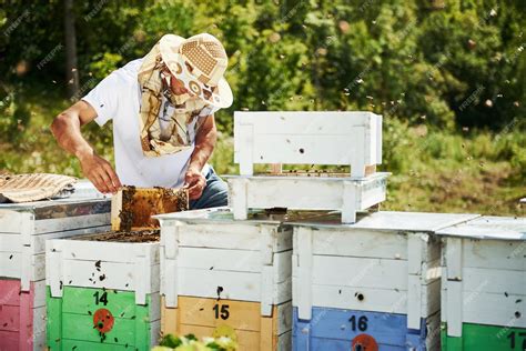 Premium Photo Many Of Hives Beekeeper Works With Honeycomb Full Of