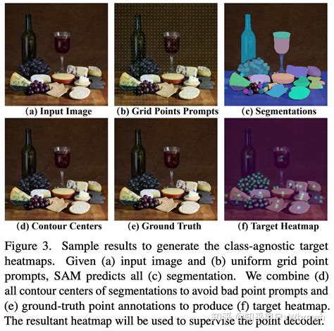Cvpr 2024 Point Segment And Count A Generalized Framework For