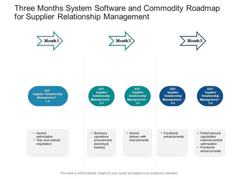 Three Months System Software And Commodity Roadmap For Supplier Relationshi