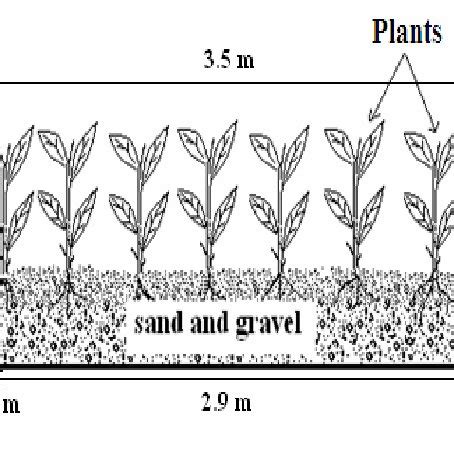 Schematic Diagram Of The Experimental Horizontal Subsurface Flow Download Scientific Diagram
