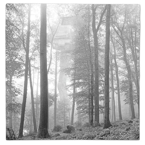 Ewoks Endor R Fakealbumcovers