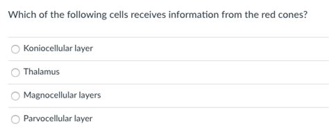Solved Which Of The Following Cells Receives Information