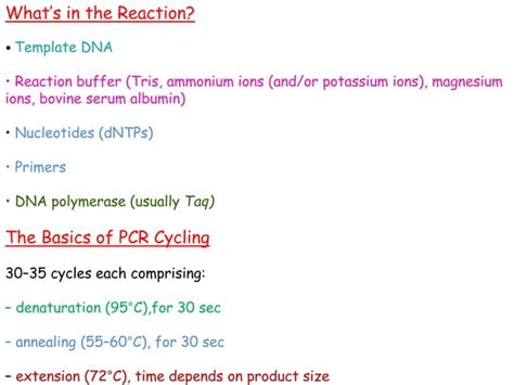 Basic Molecular Biology Techniques Ppt