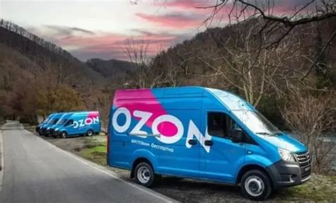 ozon清关税流程详解，避免额外费用 - 运营干货 - OZON数据