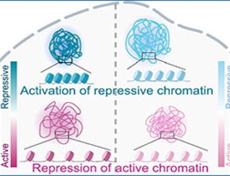Next Generation Rna Sequencing Of Archival Formalin Fixed Paraffin Embedded Tissue Rna Seq Blog